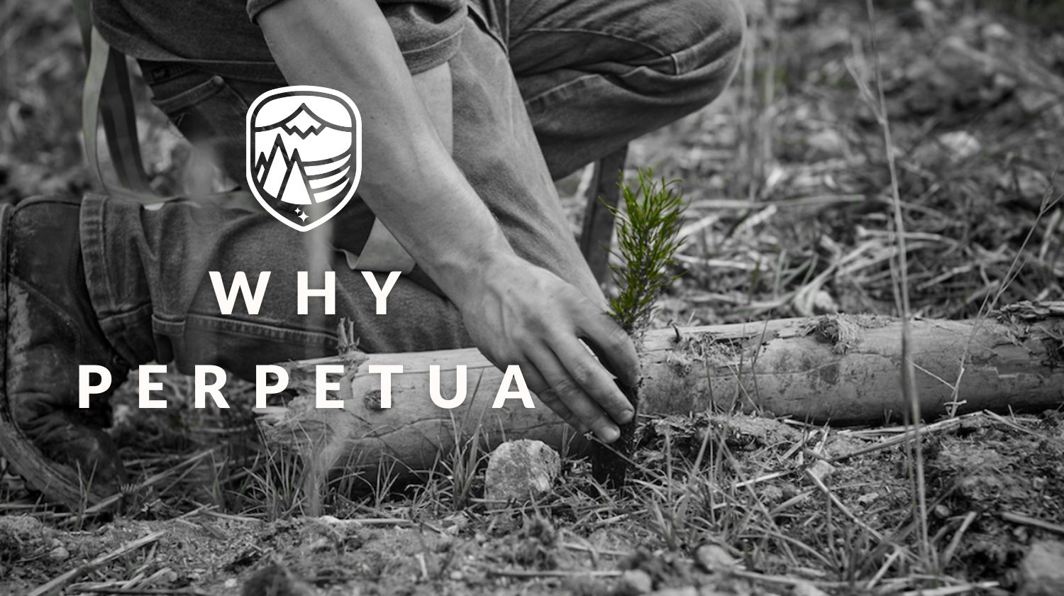 Home - Perpetua Resources